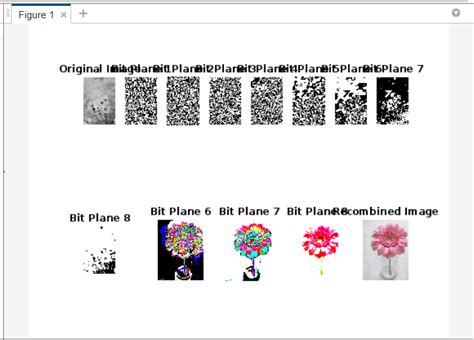 extract bit planes from an image in matlab tpoint tech