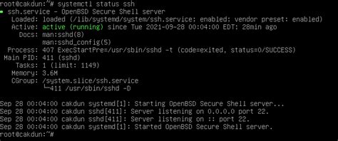 Cara Install Open Ssh Dan Mengubah Port Ssh Pada Server Debian 9