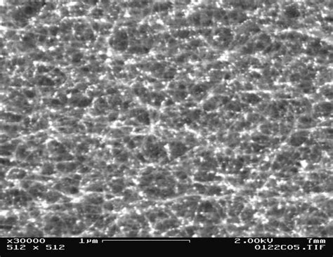Morphology Of Carbon Nanotube Foam Characterized By Sem Download