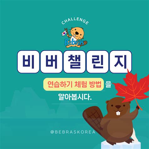 Bebras Korea 한국비버챌린지