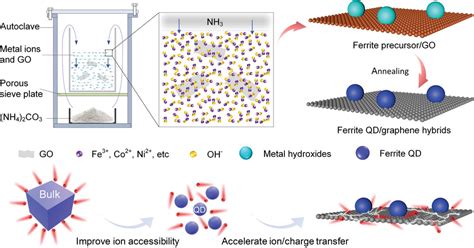 Biomimetic Construction Of Ferrite Quantum Dotgraphene Heterostructure For Enhancing Ioncharge