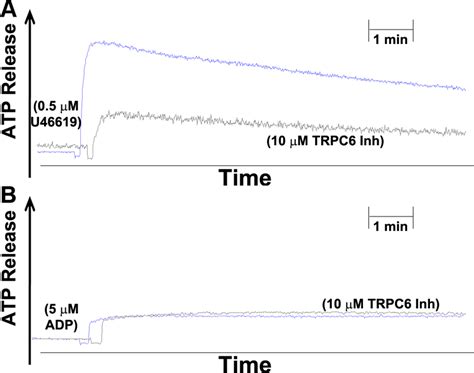 Effect Of Trpc6 Inhibitor On Human Platelet Atp Secretion Stimulated By Download Scientific