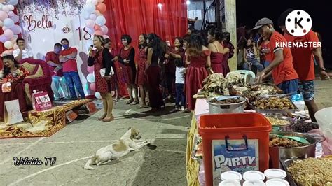 Ara Bellas 18 Ts Youtube