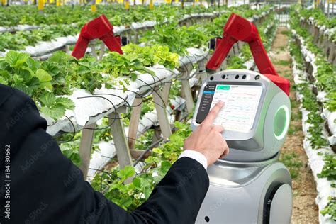 Smart Agriculture Vertical Farm Sensor Technology Concept Farmer Hand Using Autonomous