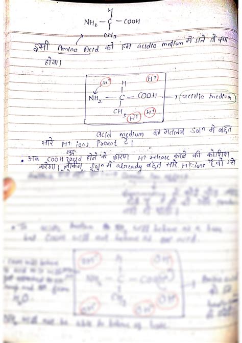 Solution Class 11 Chapter 9 Biomolecules Handwritten Notes Biology