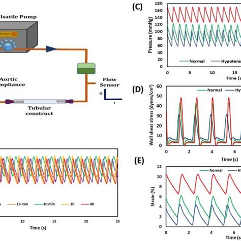 Hemodynamic Strength Assessment By Closed Flow Loop Model System A Download Scientific
