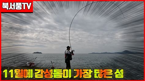 감성돔이 버글버글 하는 섬 지금 달리세요 Youtube