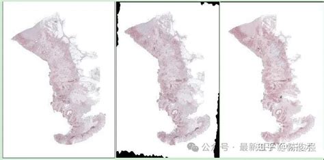 anhir2019——自动非刚性组织学图像配准之传统非刚性配准方法 知乎