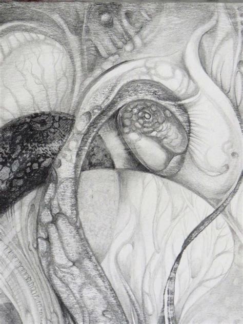 The Erratic Gathering Of Undisciplined Biomorphic Objects Otto Rapps