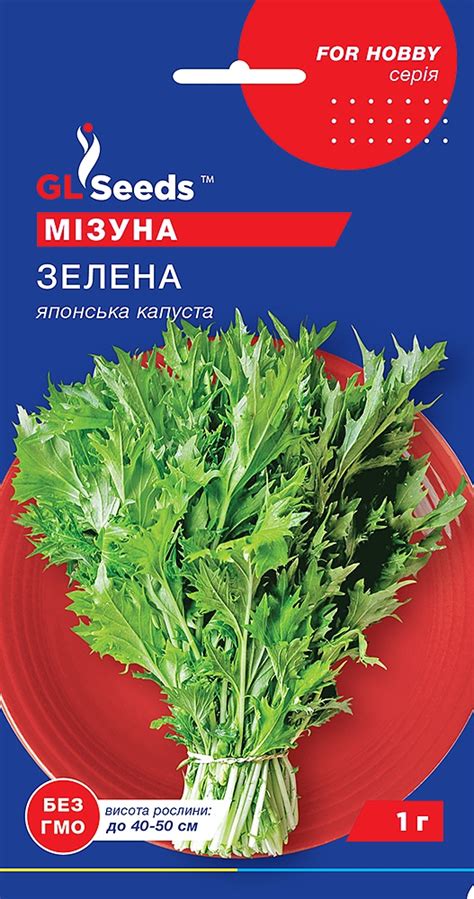 Насіння Мізуна оптом від виробника GLSEEDS