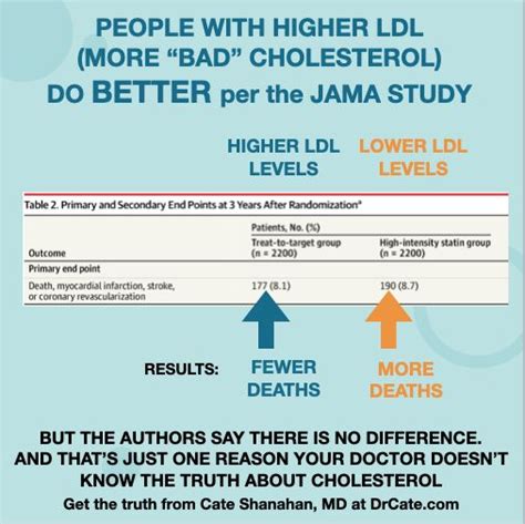 What Is Statin And Why Does It Matter Cate Shanahan Md Posted On The Topic Linkedin