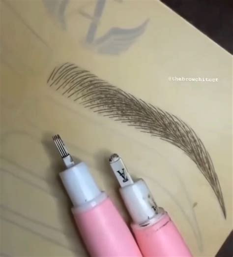 Pin De Paula Telles En Desing Cejas Microblading Cejas Tatuadas