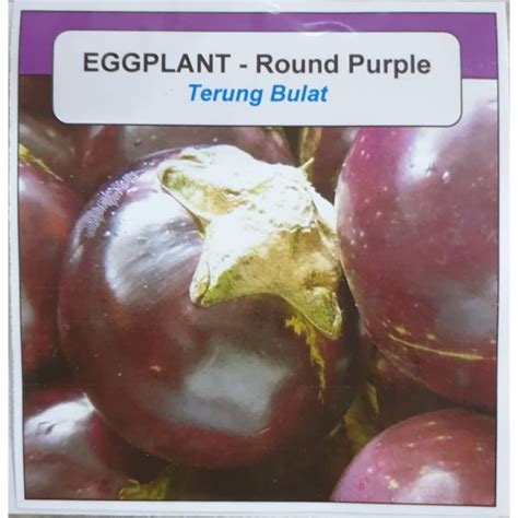 Benih Terung Bulat Ungu 30 Biji Shopee Malaysia