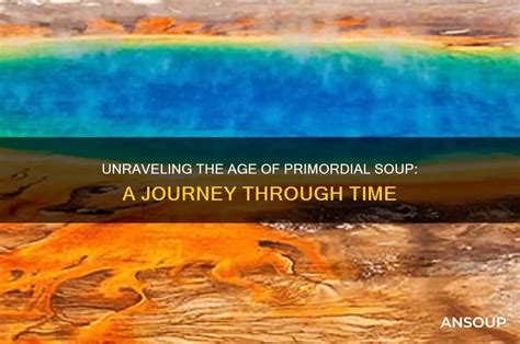 Unraveling The Age Of Primordial Soup A Journey Through Time Ansoup