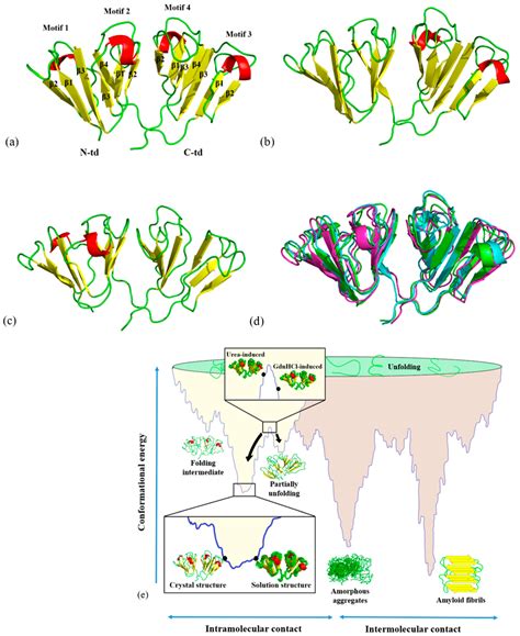 Insights To Human γd Crystallin Unfolding By Nmr Spectroscopy And