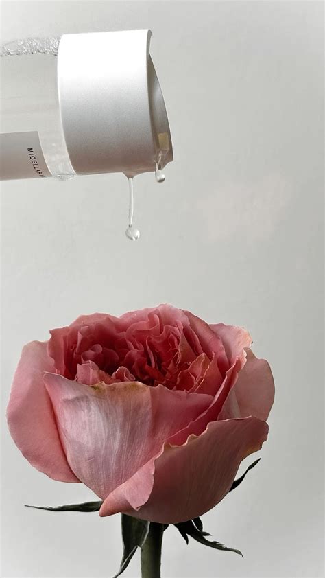 Бережное очищение для всех типов кожи настоящая эстетика Skin Aesthetics Beauty Youthful Skin