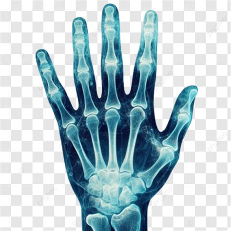 투명한 배경에 3d 스켈레톤 손 이미지 3d Skelet Hand 이미지 투명한 배경에 투명한 Png 일러스트 및 이미지 에 대한 무료 다운로드 Pngtree