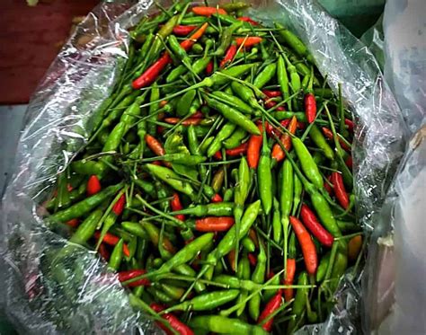 The 35 Essential Herbs And Spices Used In Thai Cuisine
