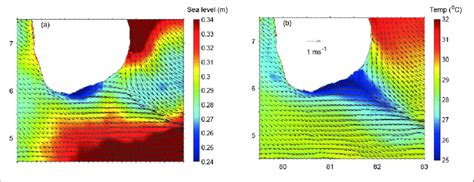 Predicted Near Surface Current Vectors Superimposed A Sea Level And