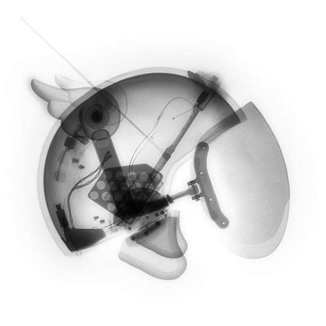 Oli Xl Love And Pop Lyrics Plyric