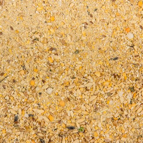 Gp492 Big Sky Organic Feed Poultry Layer Mash No Soy 50 Lbs A