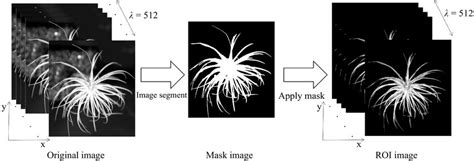 Flow Chart Of Hyperspectral Data Extraction From Nir Hyperspectral