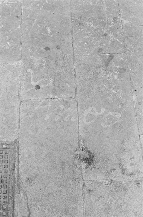 Faint Background Photos Download The Best Free Faint Background Stock