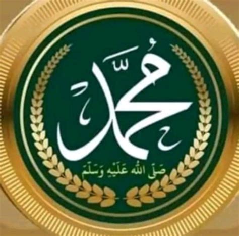 قرأن كريم On Reels Facebook