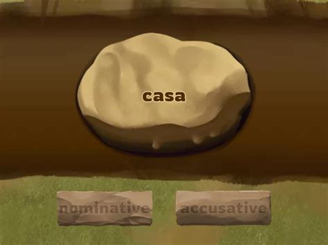 Nominative Or Accusative — S Or Do True Or False Nominative Or Accusative — S Or Do True Or False