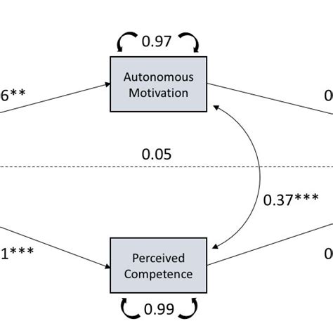 Meta Analytic Structural Equation Model Self Determination Theory