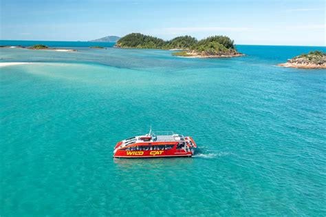 그레이트 배리어 리프 스노클링 And 아일랜드 카타마란 투어 맥케이 하버 출발 최고의 해양 체험을 위한 완벽한 선택 Funbooky