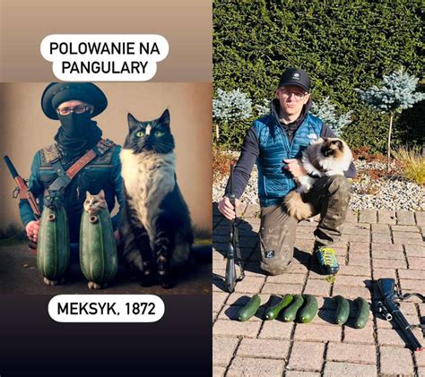 Czy W Internecie Wszystko Jest Prawdą Hrejterzy