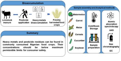 Bioaccumulation Pesticides