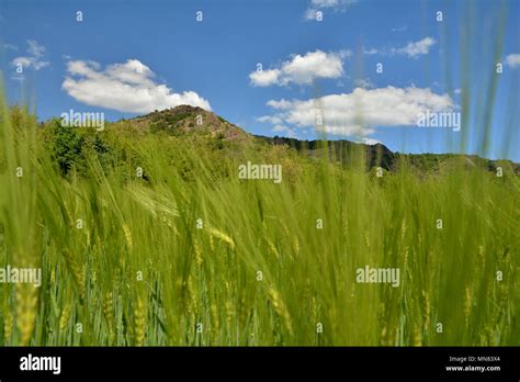 Amazing Agriculture Landscape In Macin Mountains Of Dobrogea Romania