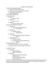 Chapter 8 Skeletal System Chapter 8 Skeletal System Functions Of The Skeletal System 1