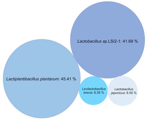 Bubble Chart Representing The Relative Abundance Of Bacterial Strains Download Scientific