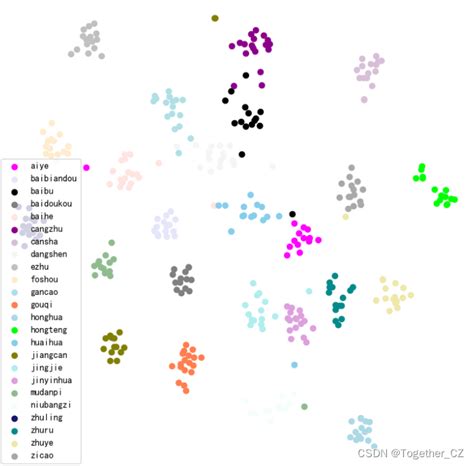 Python基于轻量级ghostnet模型开发构建23种常见中草药图像识别系统草药推荐模型的构建 Csdn博客