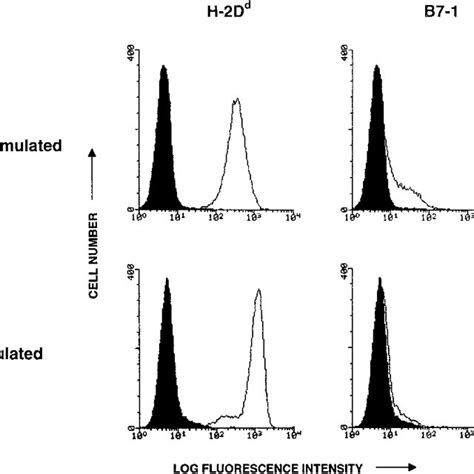 Expression Of Class I MHC H 2D D And B7 1 On AB1 Cells Before And Download Scientific