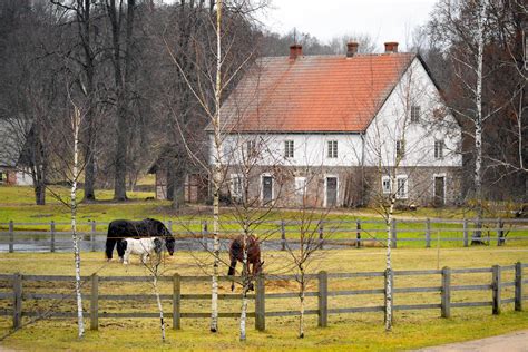 무료 이미지 나무 숲 집 밖의 울타리 농장 한 지방 펜 건물 외양간 국가 시골의 목장 방목 가축 가을 농토 농업의 찰과상 농가 활기