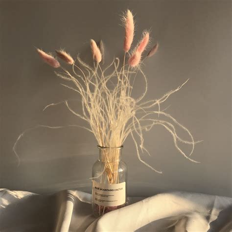 Сухоцветы в интерьере 81 фото красивые картинки и Hd фото