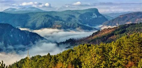 Партия Консервативна България Слави Трифонов се кани брутално да