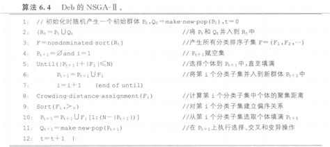 【多目标进化优化】nsgaii 算法原理与代码实现nsga优化算法 Csdn博客