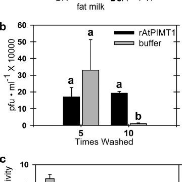 Blocking Reagent And Washing Buffer Optimization A Different Download Scientific Diagram