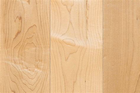 Клен текстура древесины 32 фото