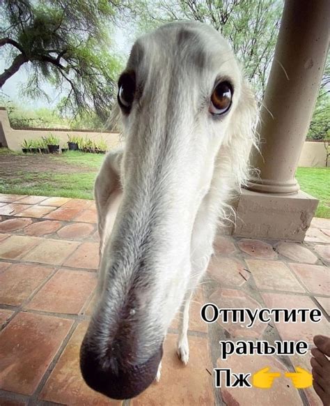 Мемное сообщество МГУТУ ВКонтакте