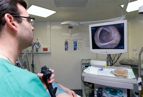Colonoscopy Screening Guidelines A Lifesaving Checklist Quick Health Links Your Shortcut To