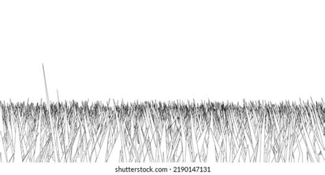 Black Lines Grass Contour Isolated On Stock Vector Royalty Free