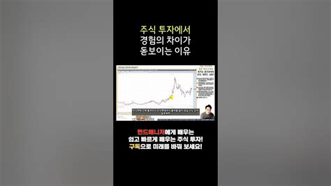 주식 투자에서 경험의 차이가 돋보이는 이유 Youtube