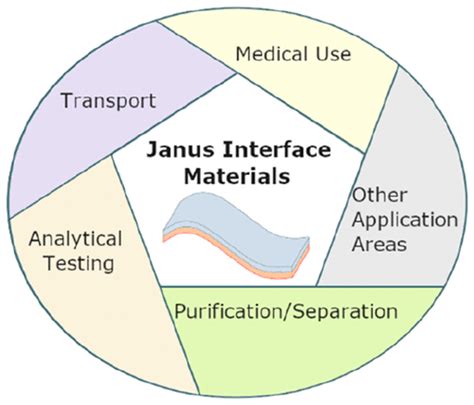 Janus Interface Materials A Critical Review And Comparative Study Acs Materials Letters Janus Interface Materials A Critical Review And Comparative Study Acs Materials Letters