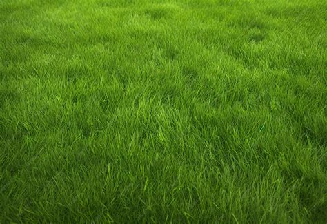 Premium Photo Vibrant Green Grass Texture Background